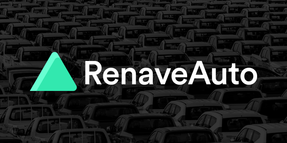 Sances - Gestão do Ecossistema Automotivo